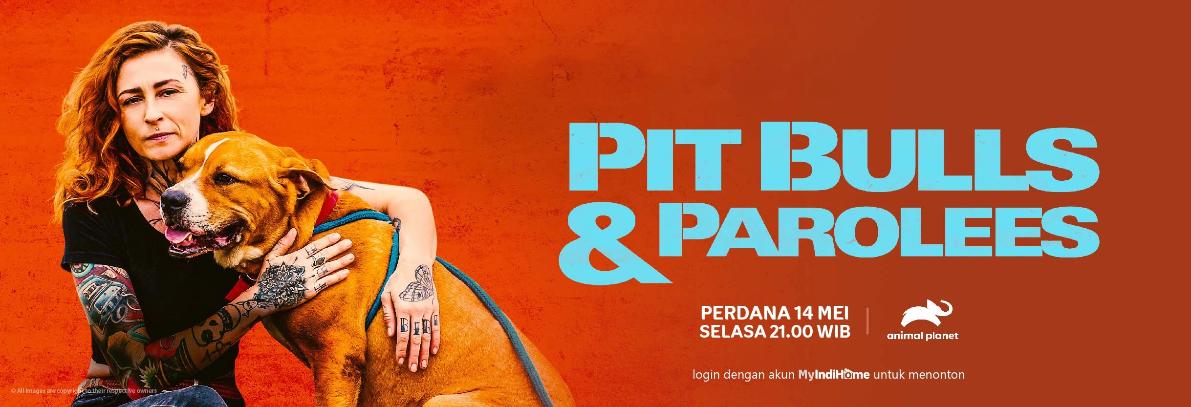 IndiHomeTV - Live Streaming TV Indonesia