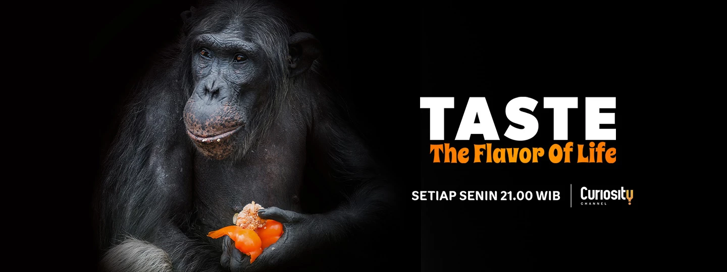 IndiHomeTV - Live Streaming TV Indonesia